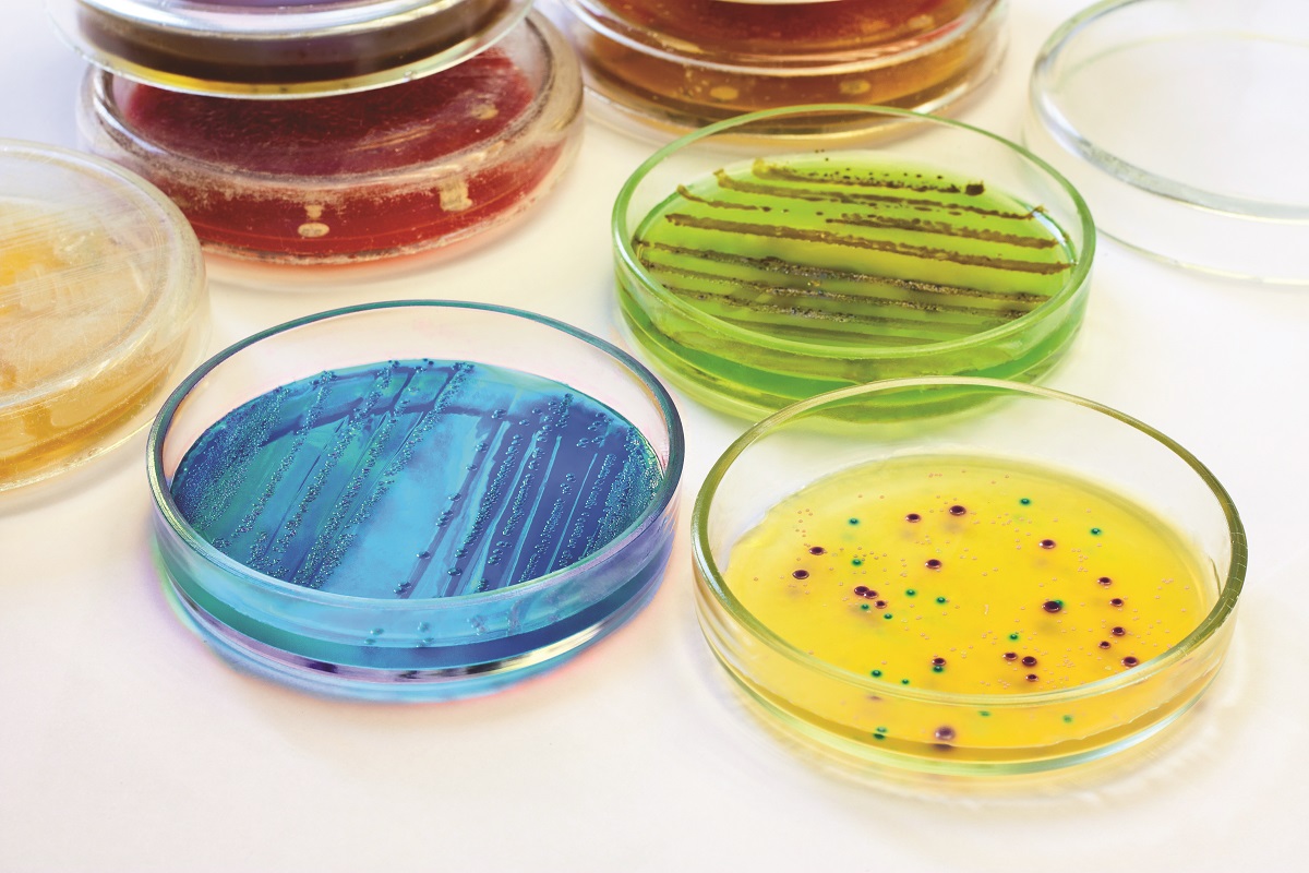 Legionella & Microbiological Testing - CE Water Management